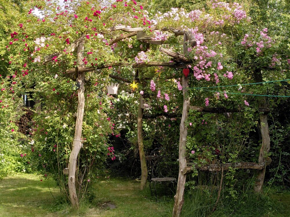 Bärbel Geusen | Offene Gartenpforte Rheinland